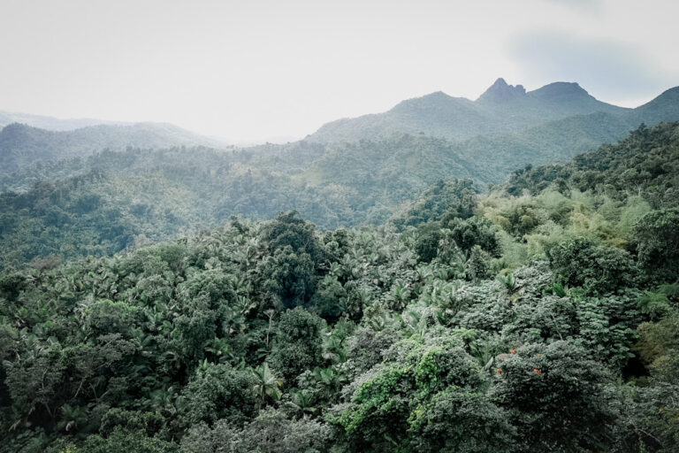 The Best El Yunque Waterfalls and Hikes: Everything you Need to Know to ...
