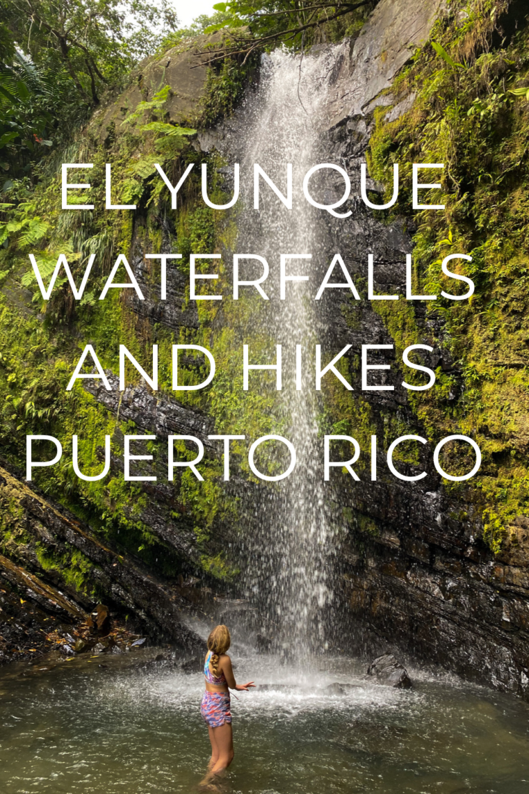 The Best El Yunque Waterfalls and Hikes: Everything you Need to Know to ...
