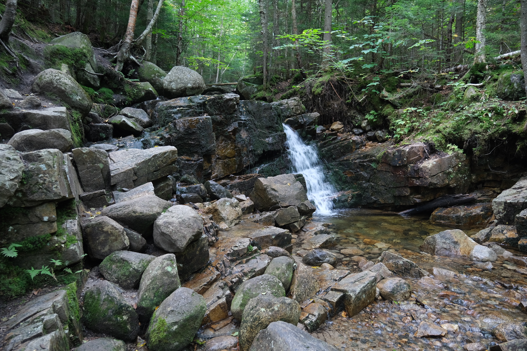 Hiking Mt. Willard NH for an Incredible and Iconic New Hampshire View ...