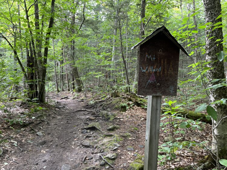 Hiking Mt. Willard NH for an Incredible and Iconic New Hampshire View ...