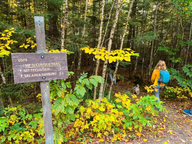 2 Best Ways to Hike Tecumseh Mountain in the White Mountains of NH ...