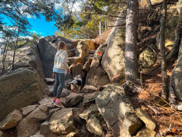 Hiking Artist Bluff Trail And Bald Mountain In New Hampshire - Chasing ...