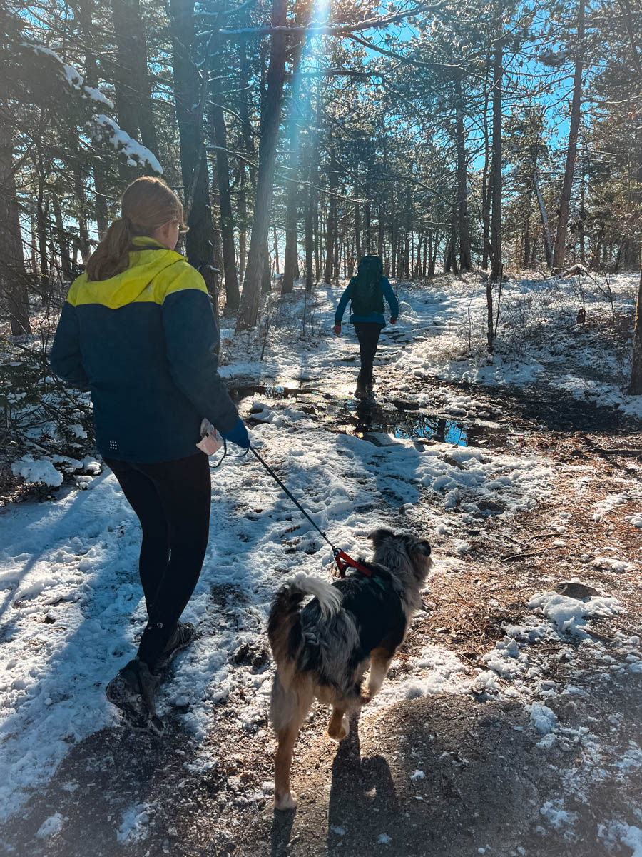 A Complete Guide to the Mount Major Trails and Hike - Chasing ADVNTR