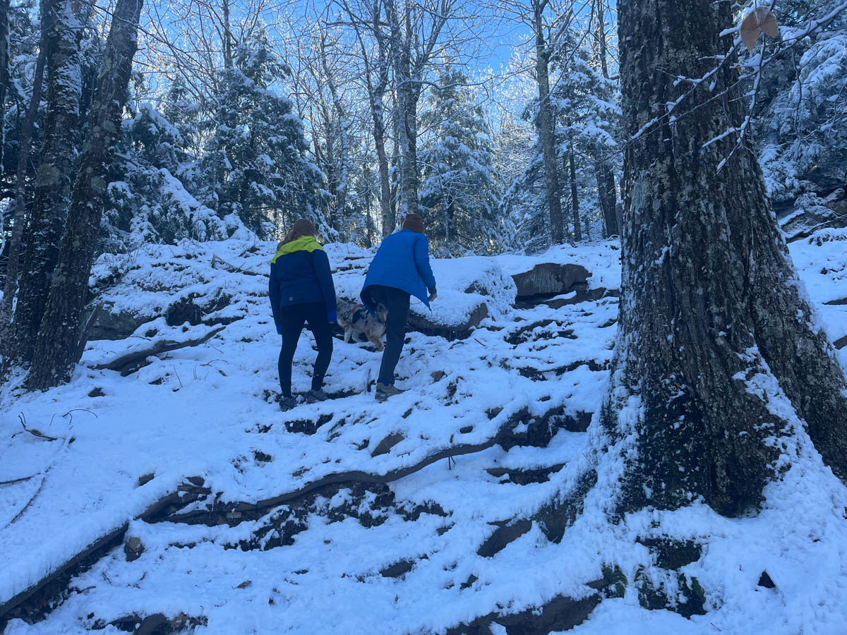 The Essential Guide to Winter Hiking for Beginners: 15 Things you Need ...