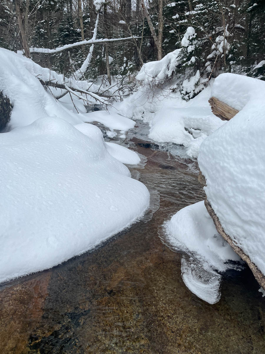 The Loop Trail to Mt Tom, Mt Field, and Mt Avalon NH: 6.5 Wonderful ...