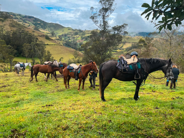 The Ultimate Quilotoa Loop Trekking Guide: Ecuador's Best Trek ...