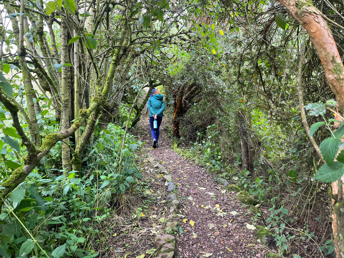 How to Hike the Short and Lovely Papallacta Hot Springs Trail - Chasing ...