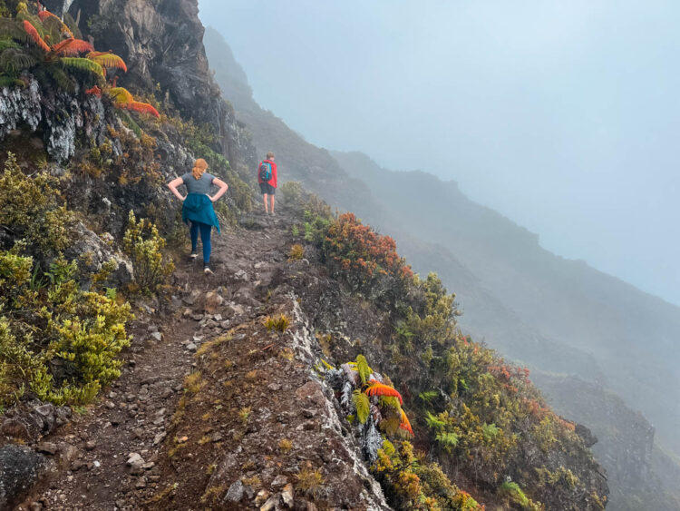 A Complete Guide to Hiking Haleakala National Park - Chasing ADVNTR