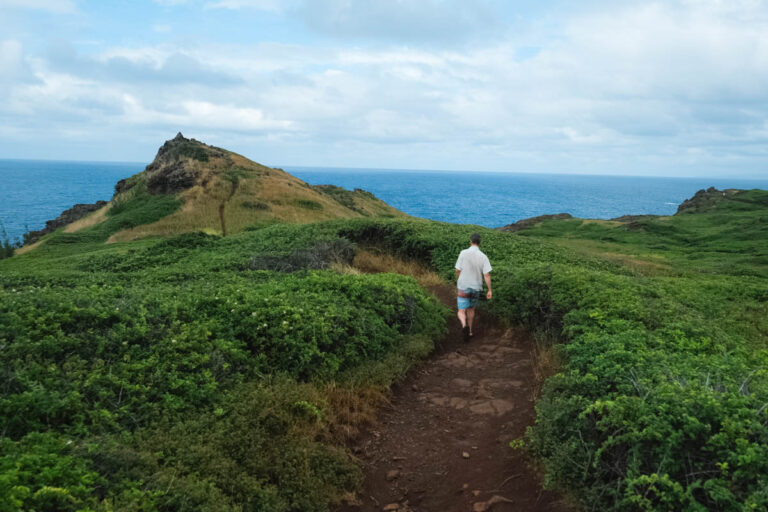 How to Hike the Gorgeous Ohai Trail Loop, Maui - Chasing ADVNTR