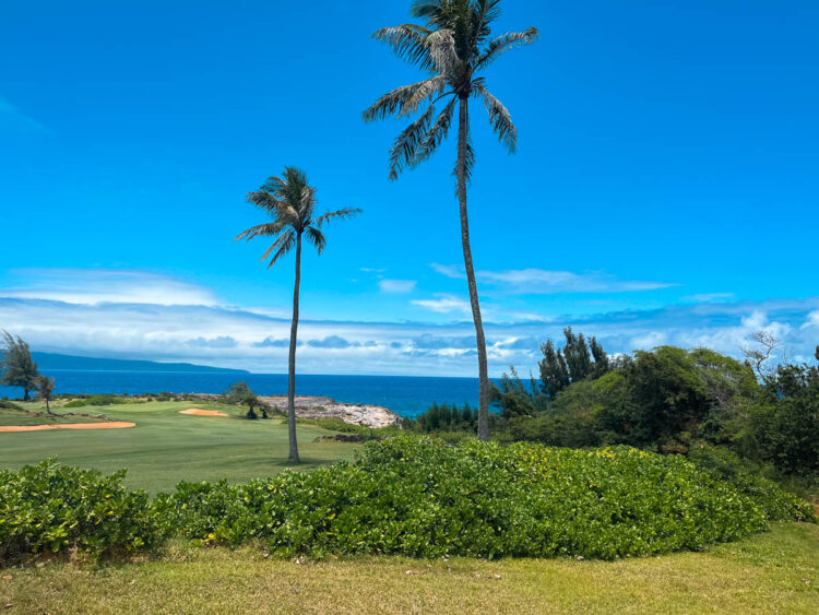 How to Drive the West Maui Loop Drive: An Incredible Hawaiian Day Trip ...