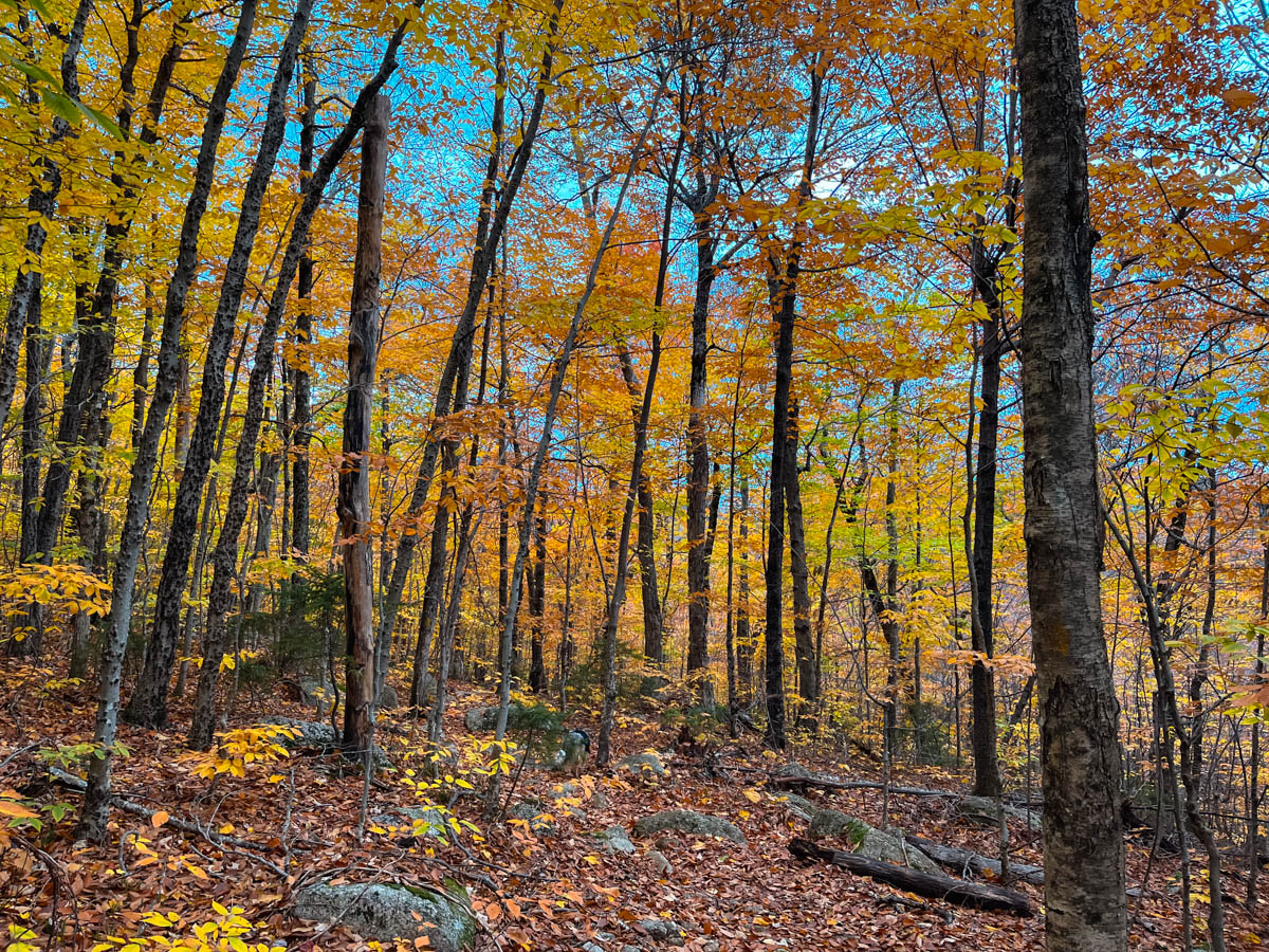 How to Hike Hedgehog Mountain NH - Chasing ADVNTR
