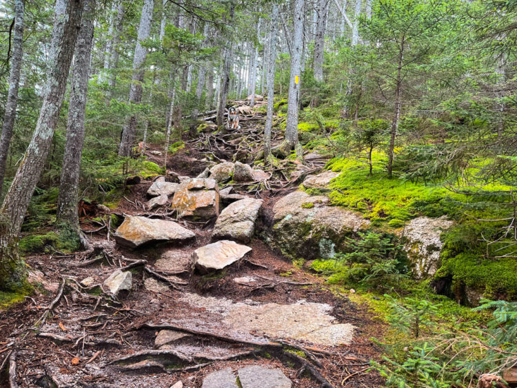 52 With a View: The Best Hikes in New Hampshire (52 WAV) - Chasing ADVNTR