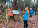 How to Hike to North Pack Monadnock and Pack Monadnock - Chasing ADVNTR