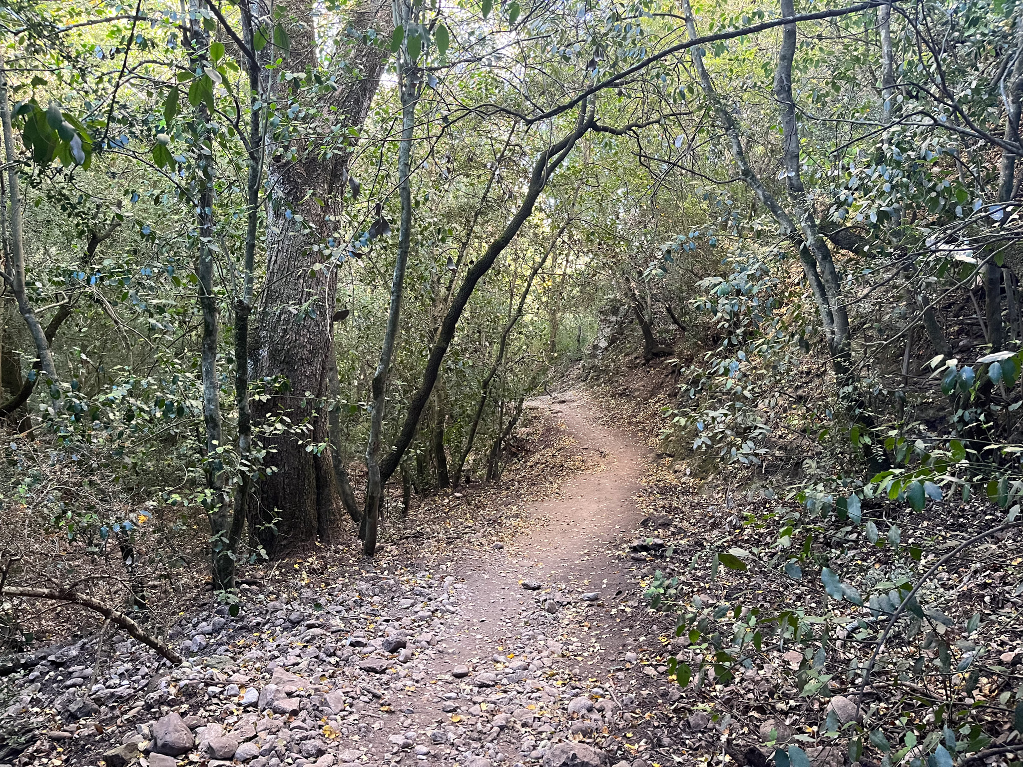 The Gorgeous Sant Jeroni Summit Loop and Alternatives: A Complete Guide ...