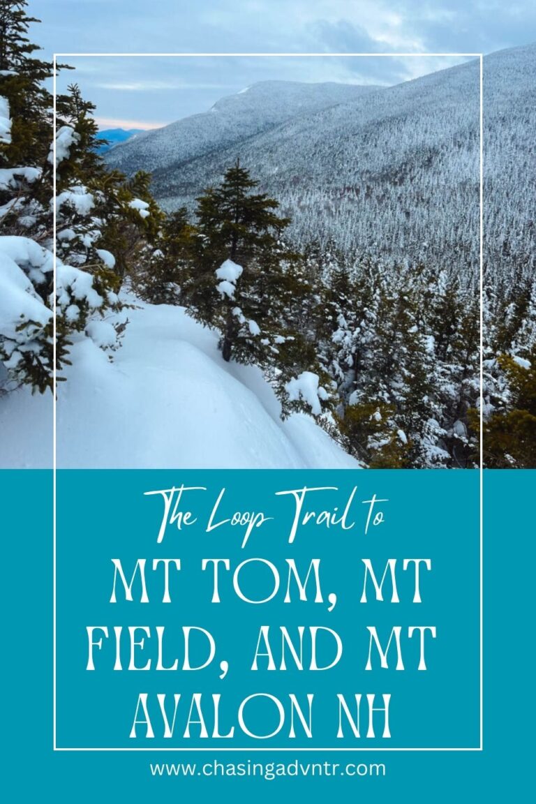 The Loop Trail to Mt Tom, Mt Field, and Mt Avalon NH: 6.5 Wonderful ...