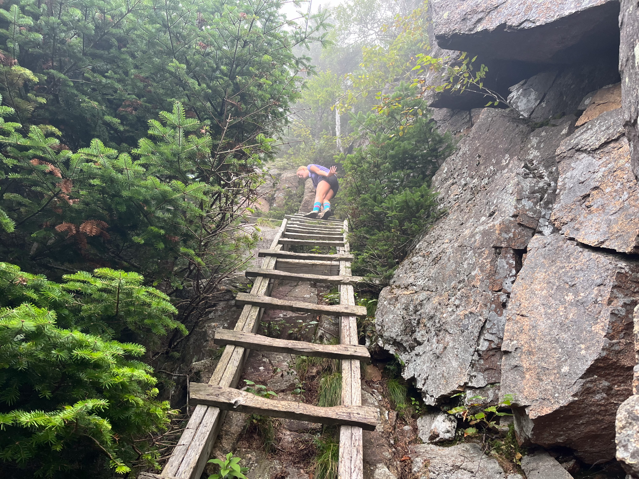 Quick Guide to Hiking Cannon Mountain, New Hampshire - Chasing ADVNTR