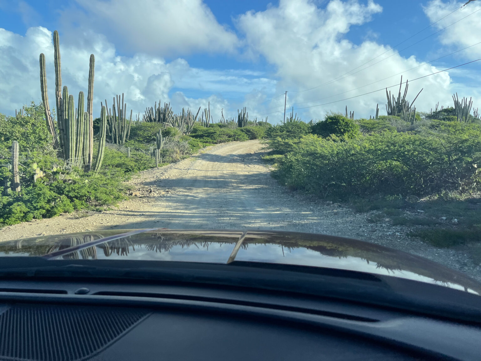 How to Visit 2 Natural Swimming Holes in Aruba: the Conchi Pool and the ...