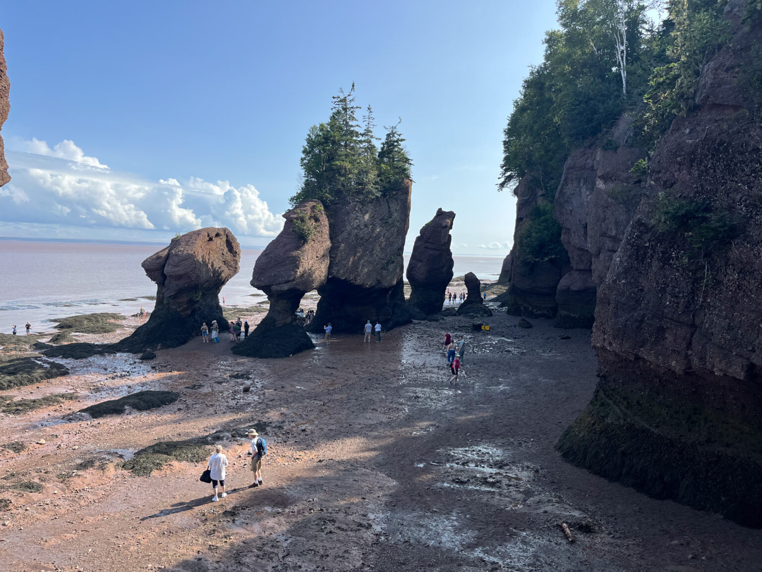 An Incredible Bay of Fundy Itinerary - Chasing ADVNTR