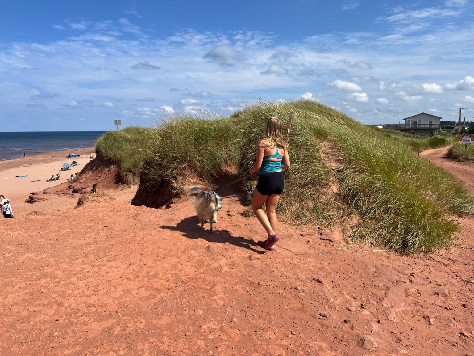 How to Explore Prince Edward Island - Chasing ADVNTR