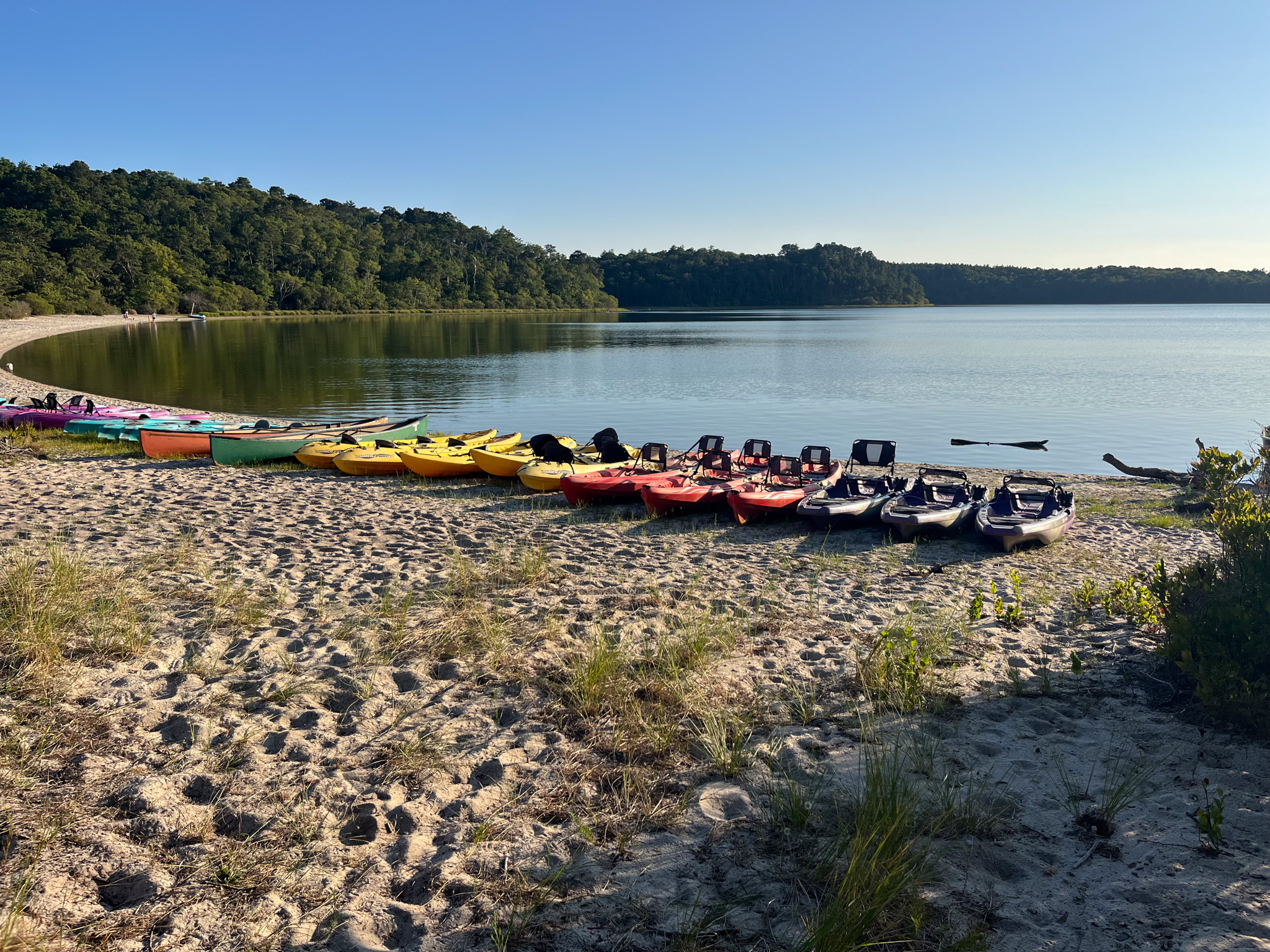 What to Know about Nickerson Campground, Cape Cod - Chasing ADVNTR