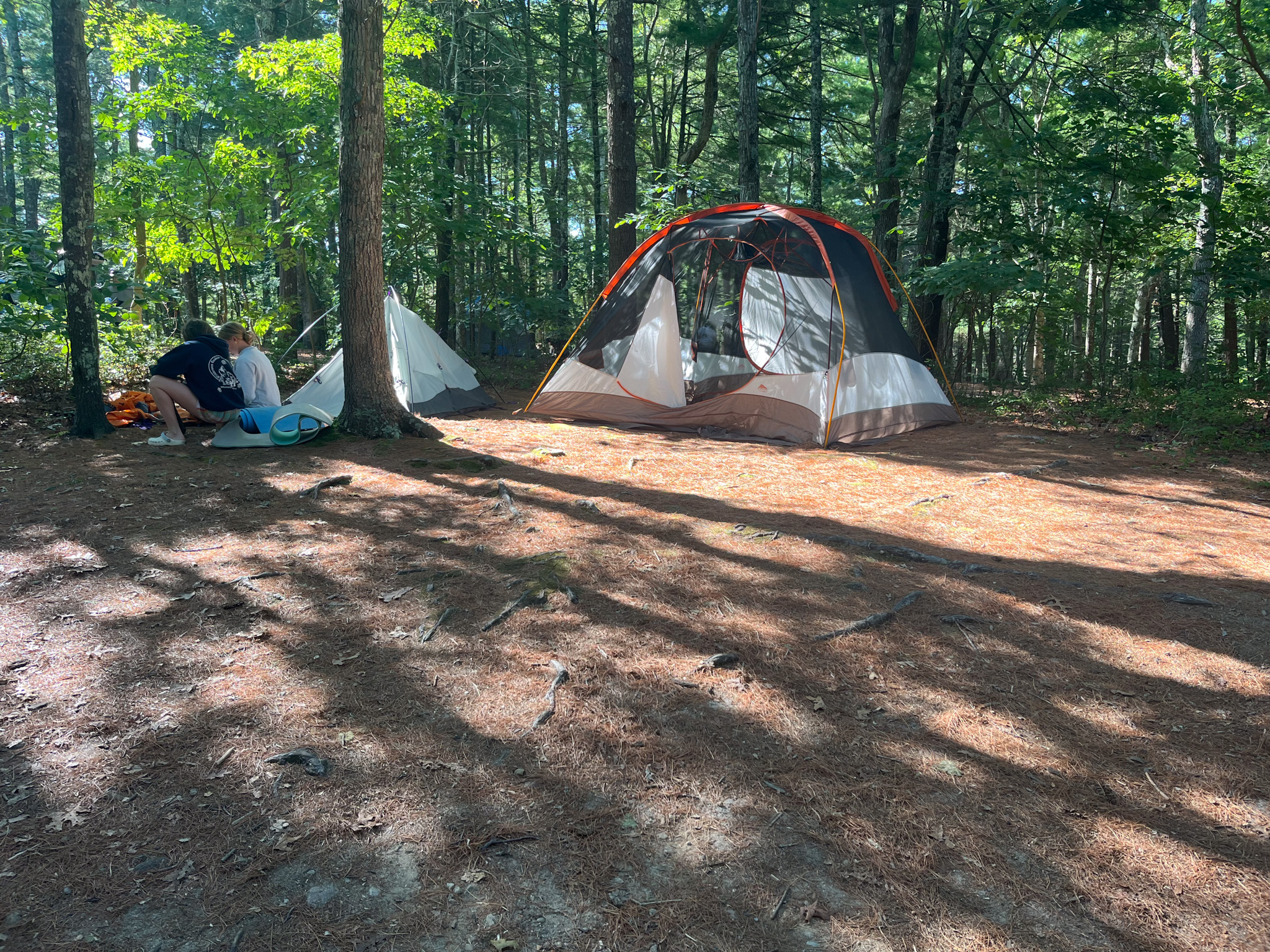 What to Know about Nickerson Campground, Cape Cod - Chasing ADVNTR