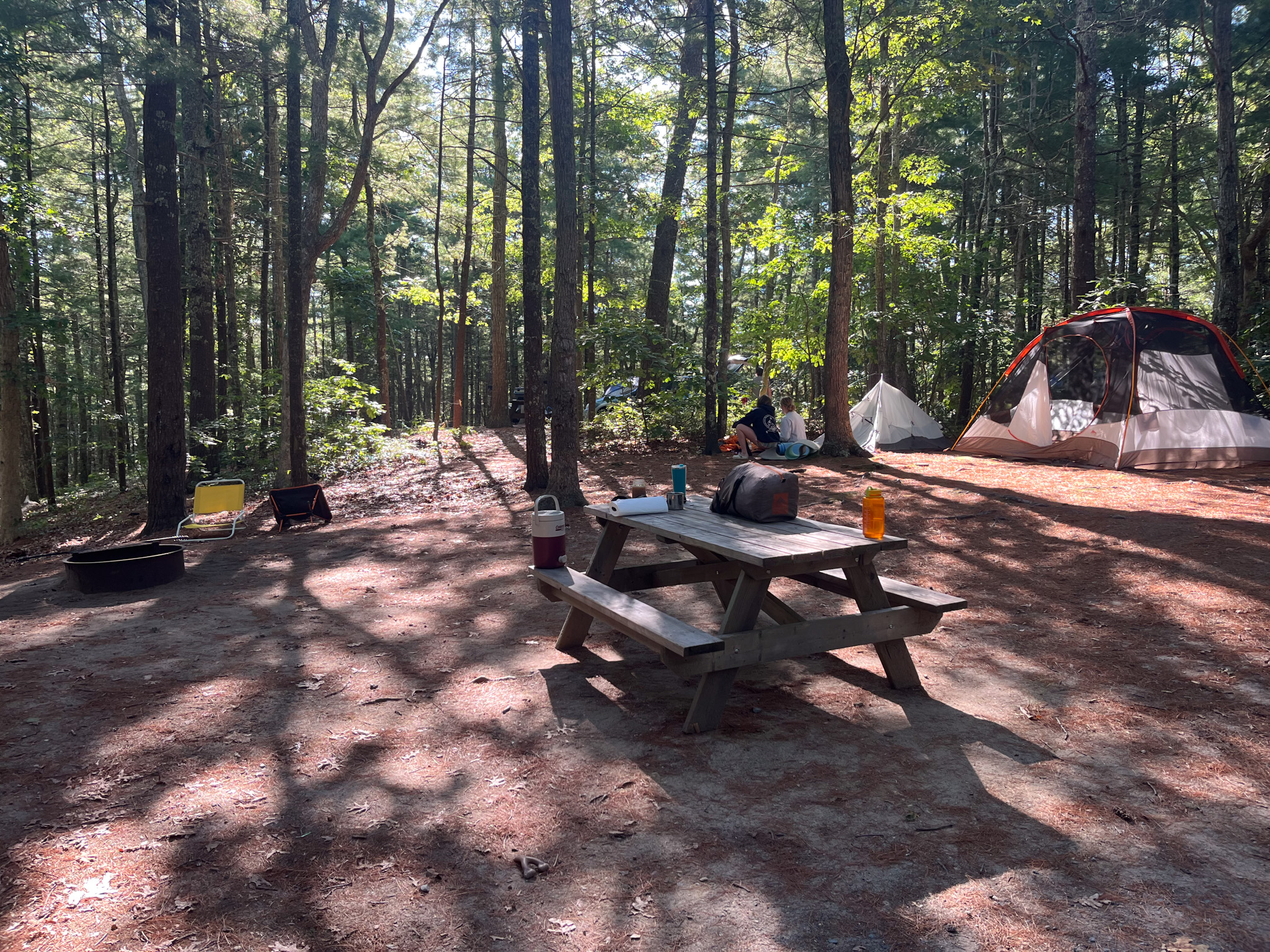What to Know about Nickerson Campground, Cape Cod - Chasing ADVNTR